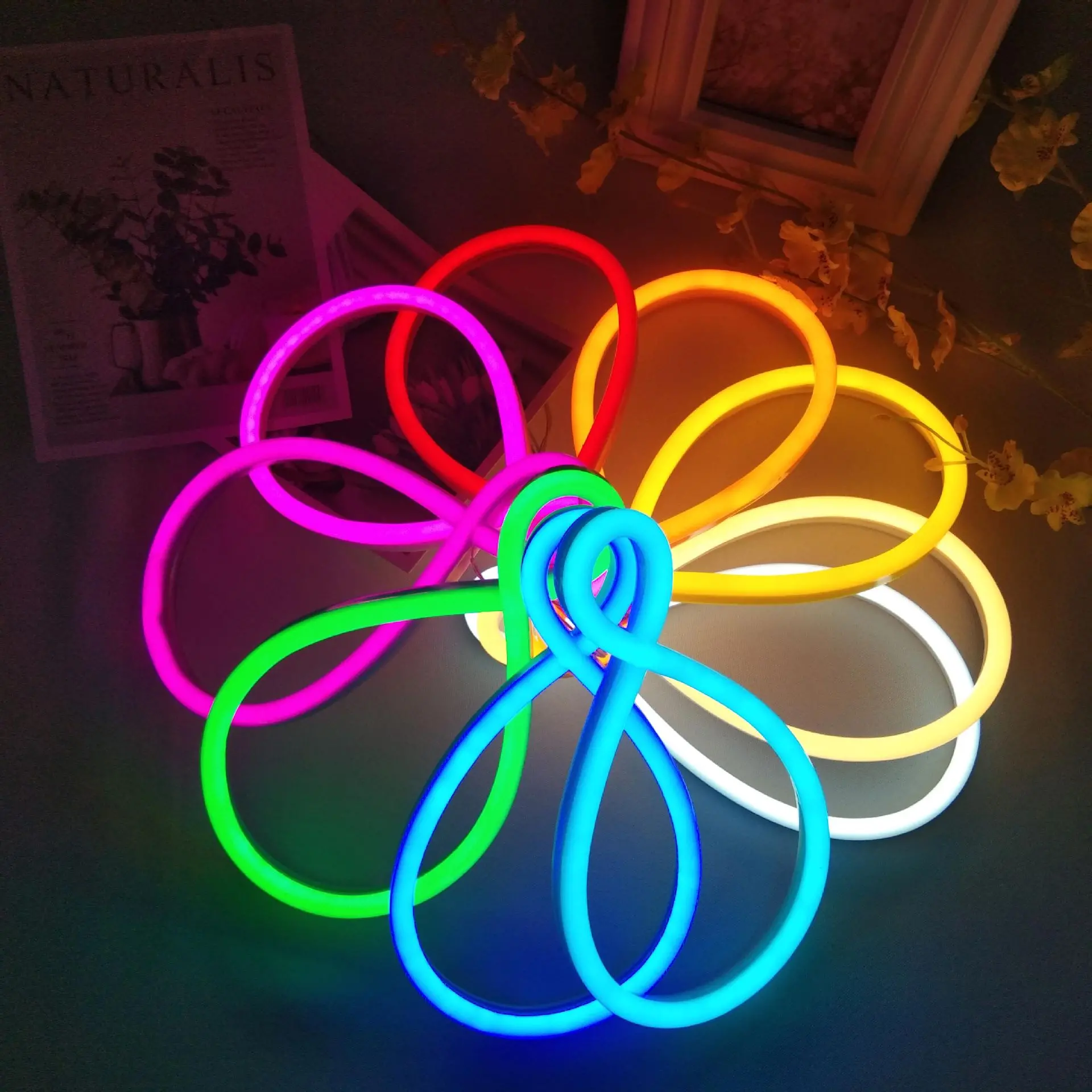 LED Neon Rope Lightsneon light custom,neon signs manufacturer