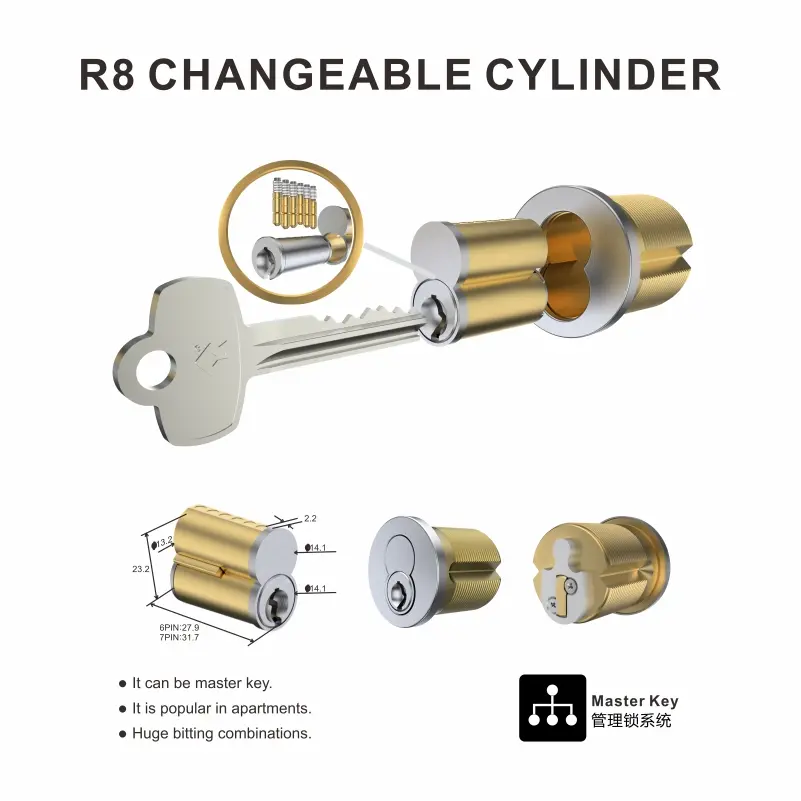 Cylinder-r8 changable cylinderCore lock global manufacturers